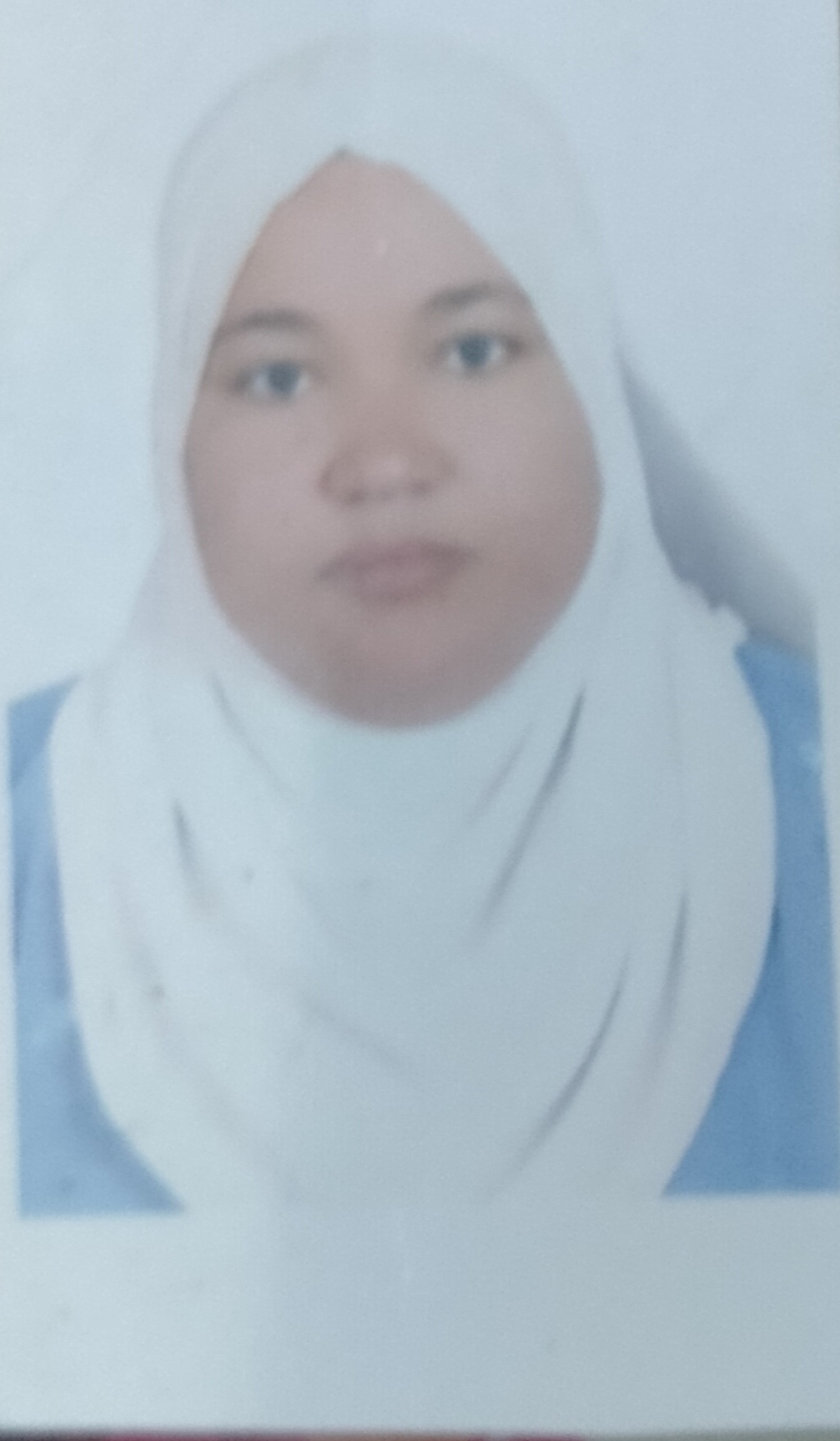 wakilly | جمالات إبراهيم مكاوى